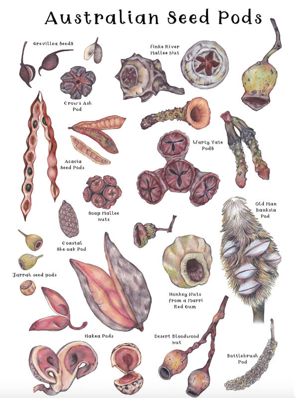 Native Seed Temperature Chart